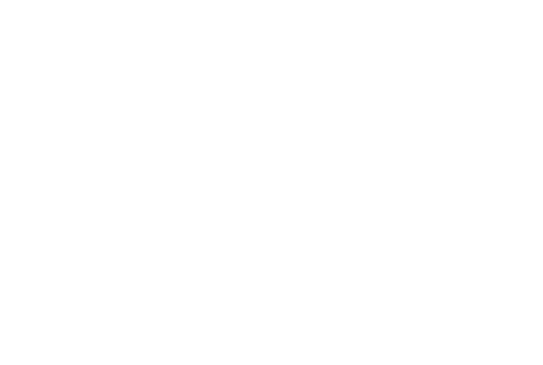 Team – Laidlaw & Company